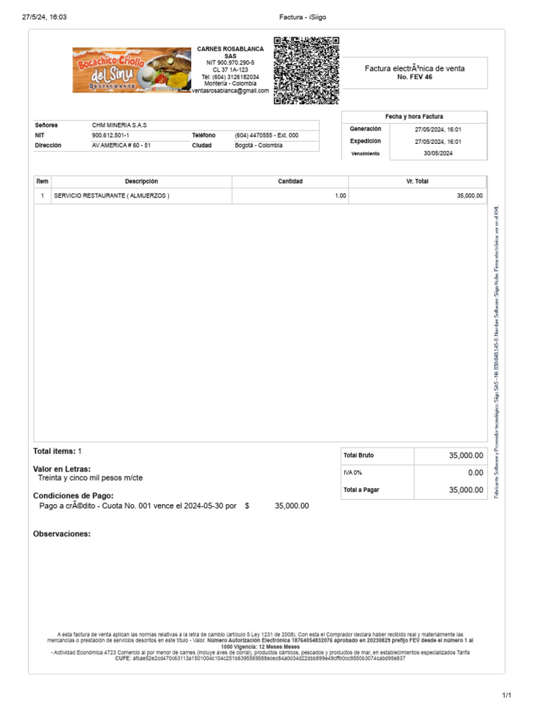 FV CHM Mineria Sas | PDF | Economias