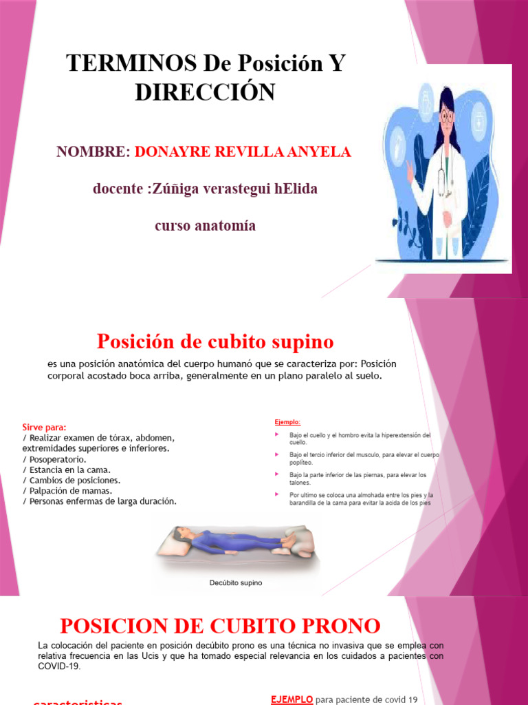 Terminos de Posición y Dirección Anatomia | PDF | Medicina CLINICA ...
