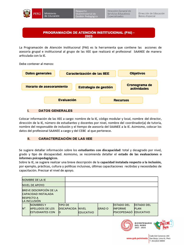 Formato PAI | PDF | Evaluación | Invalidez