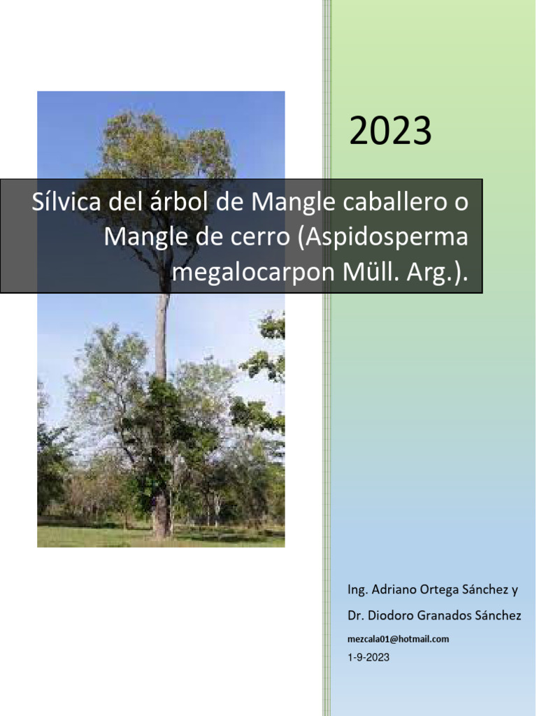 043 Silvica de Mangle Caballero o de Cerro. | PDF | Plantas | Botánica