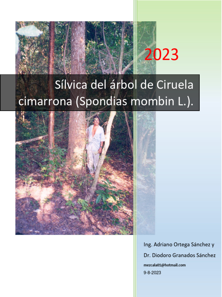 044 Silvica Ciruela Cimarrona | PDF | Plantas | Botánica