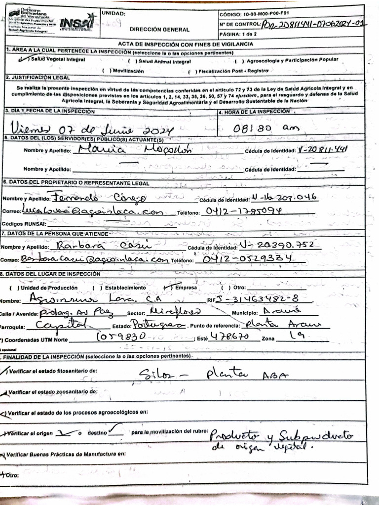 Inspección Insai Junio | PDF