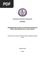 Ficha Técnica Del Pasto Guinea (Panicum Máximum Cv. Guinea Común) | PDF