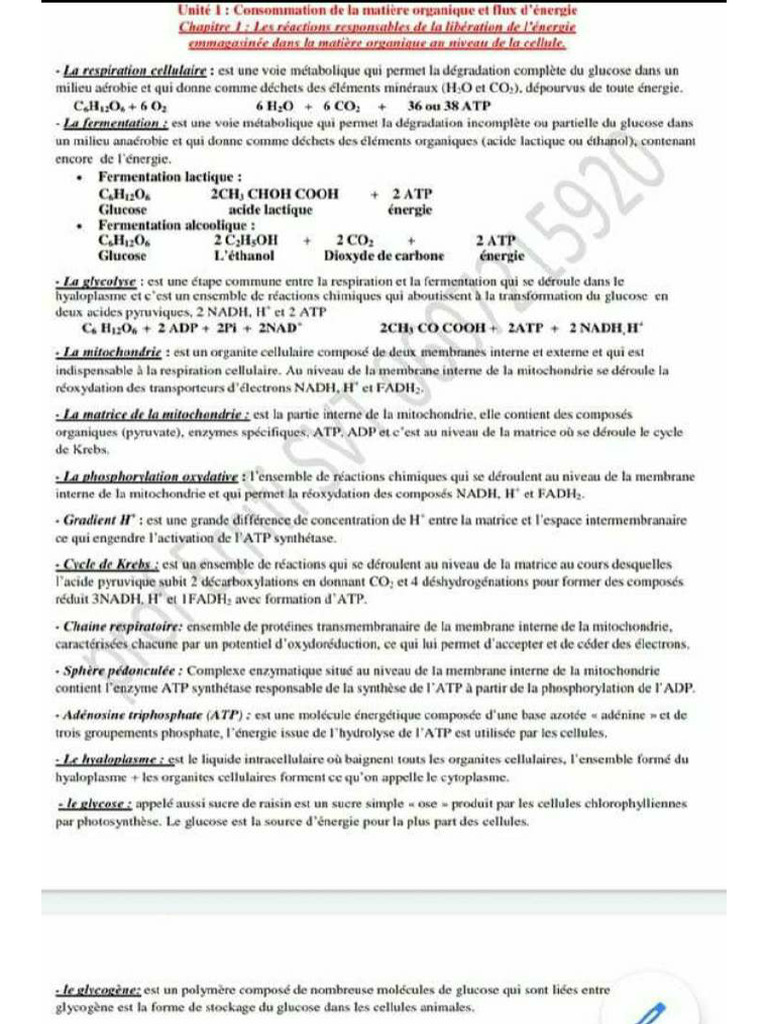 SVT 2bac | PDF