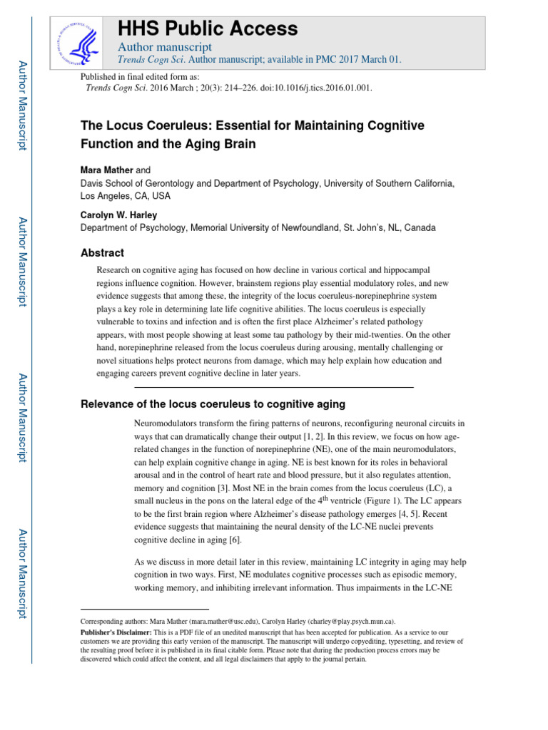 The Locus Coeruleus - Essential For Maintaining Cognitive Function and ...
