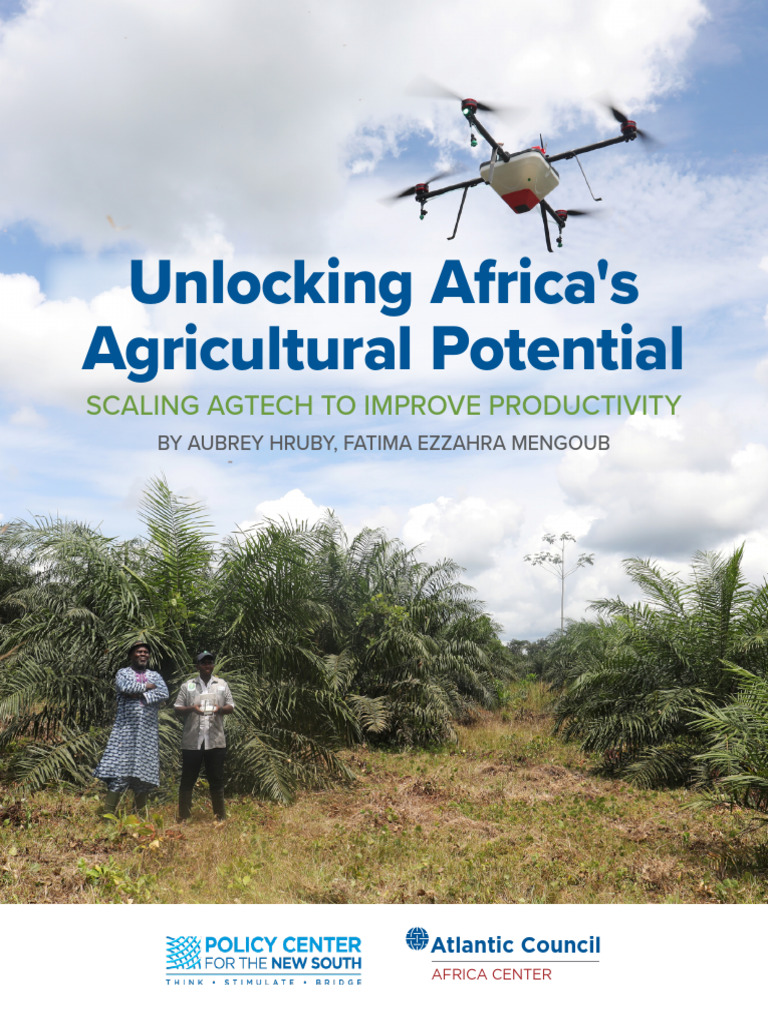 Unlocking Africas Agricultural Potential | PDF | Agriculture | Smallholding