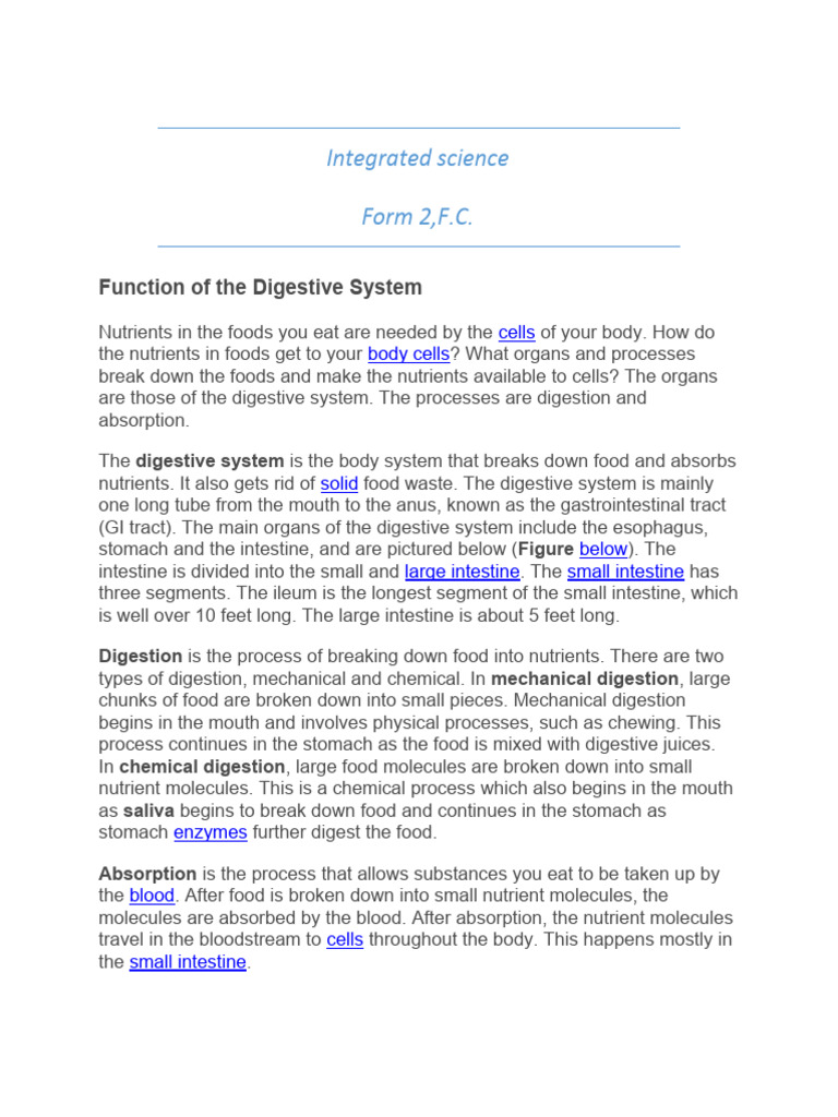 Digestive System | PDF | Digestion | Human Digestive System