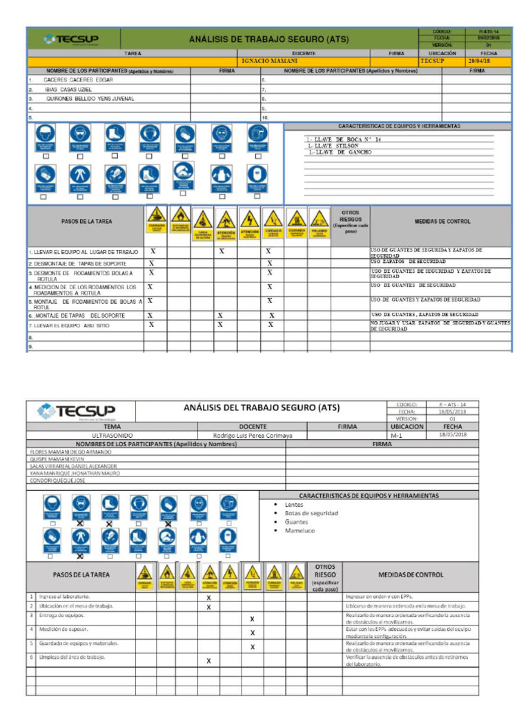 Ats Ejemplos de Llenado | PDF