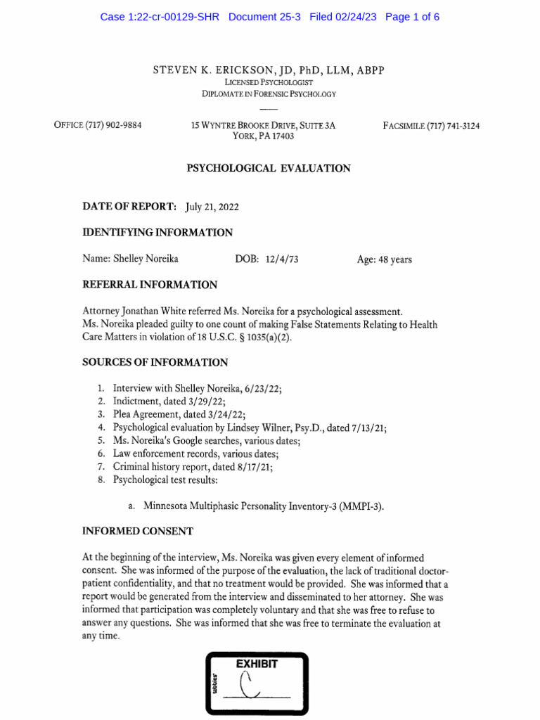 Shelley M. Noreika Psych | PDF