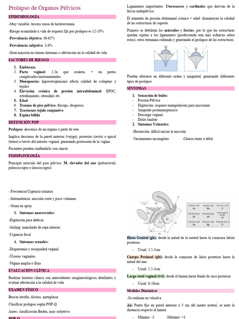 Prolapso De Órganos Pélvicos Pdf Vagina Pelvis 6529