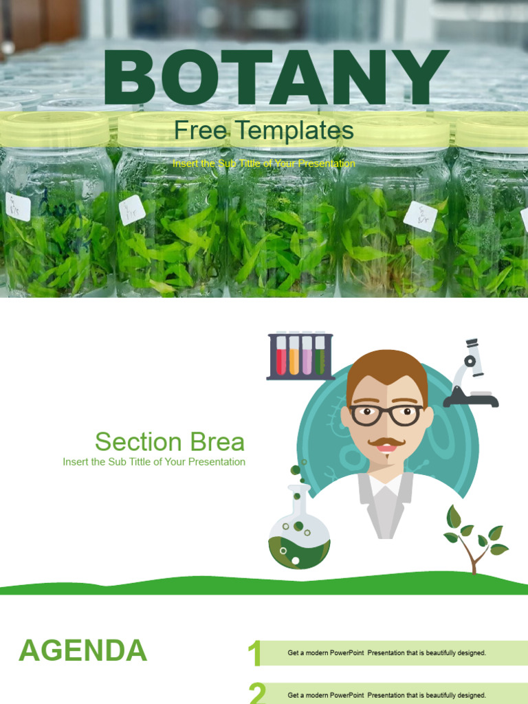 Plantilla Powerpoint de Botanica | Download Free PDF | Microsoft Power Point | Page Layout