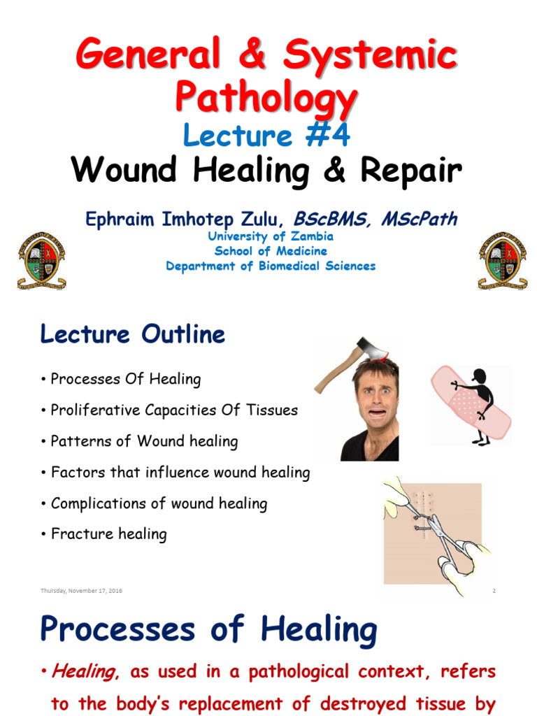 04 - Healing & Repair-20161117-151227961 | PDF | Wound Healing | Healing