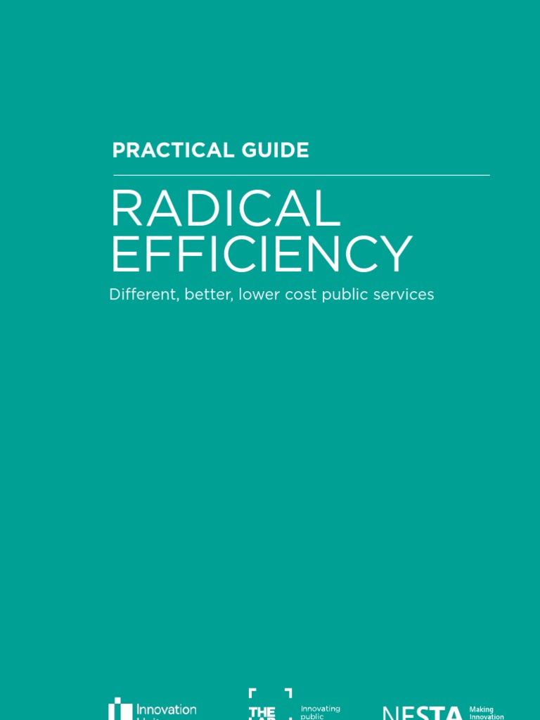 Radical Efficiency Practical Guide | PDF | Innovation | Mental Health