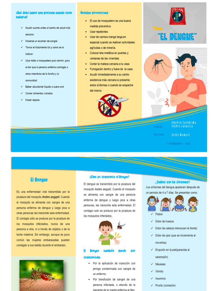 Triptico Dengue | Descargar gratis PDF | Epidemiología | Medicina CLINICA