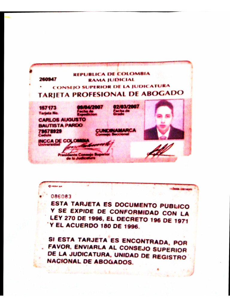 Tareta Profesinal | PDF