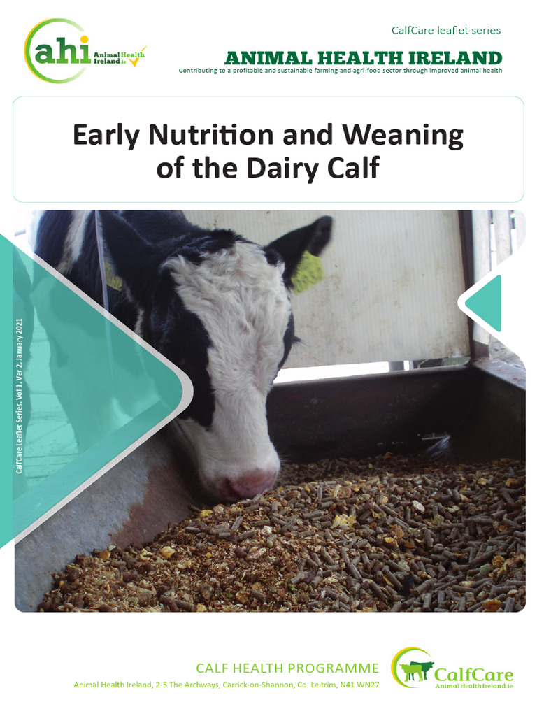 CalfCare Early Nutrition and Weaning 2021 | PDF | Weaning | Milk