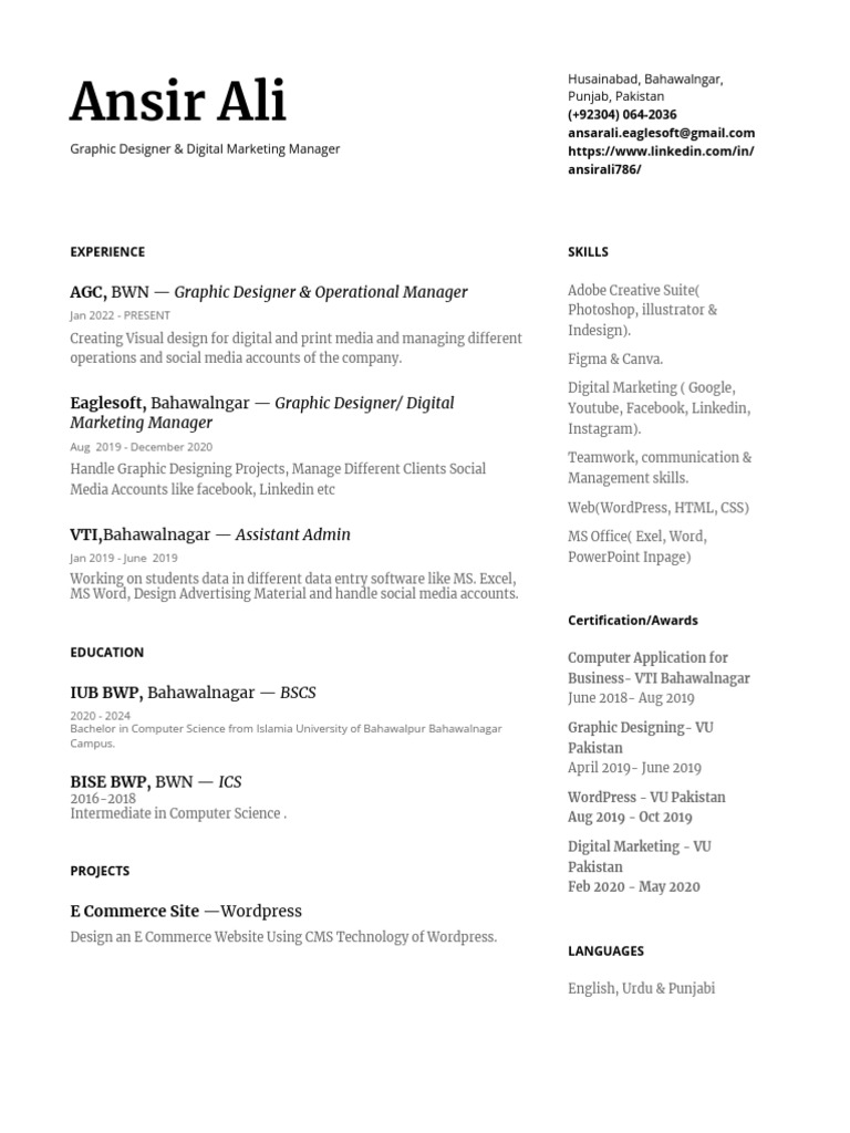 Ansir Ali Resume | PDF | Graphic Design | Computing
