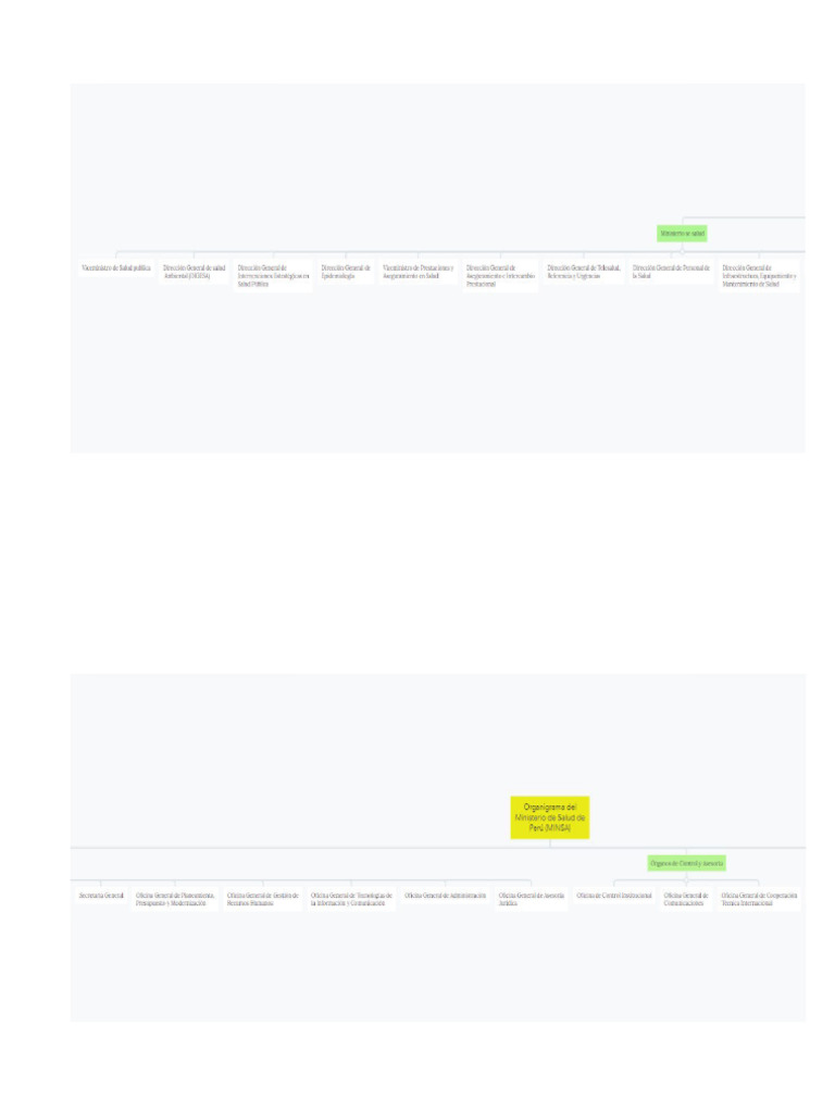 Organigrama Del MINSA | PDF