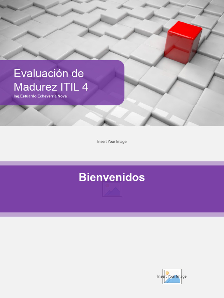 Sanas Practicas de ITIL V4-3 | PDF | Itil | Software