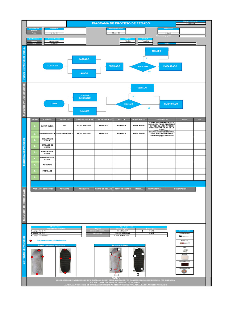AUDITORIA PROCESOS 2024 | PDF