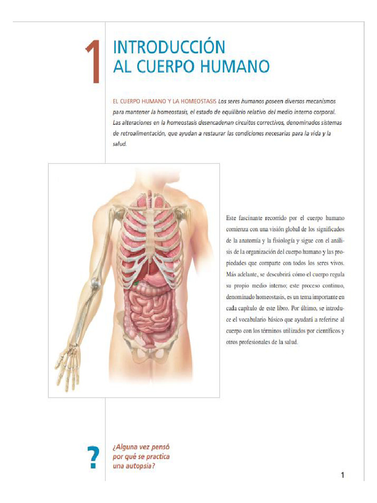 CAPITULO 1 TP1 Tortora | PDF