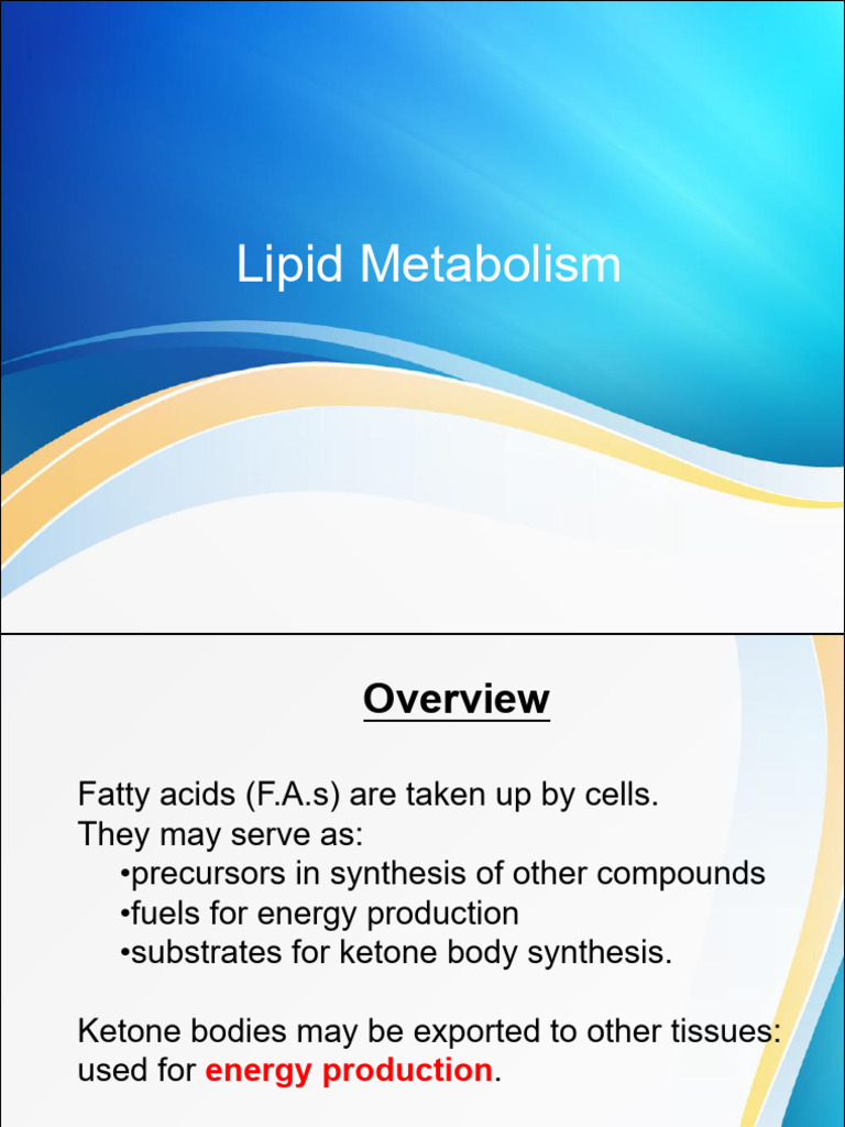Lipid Metabolism | PDF | Lipid | Fat