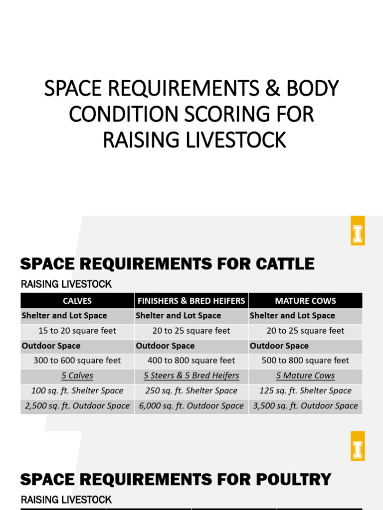 Space and BCS For Livestock | PDF | Livestock | Cattle