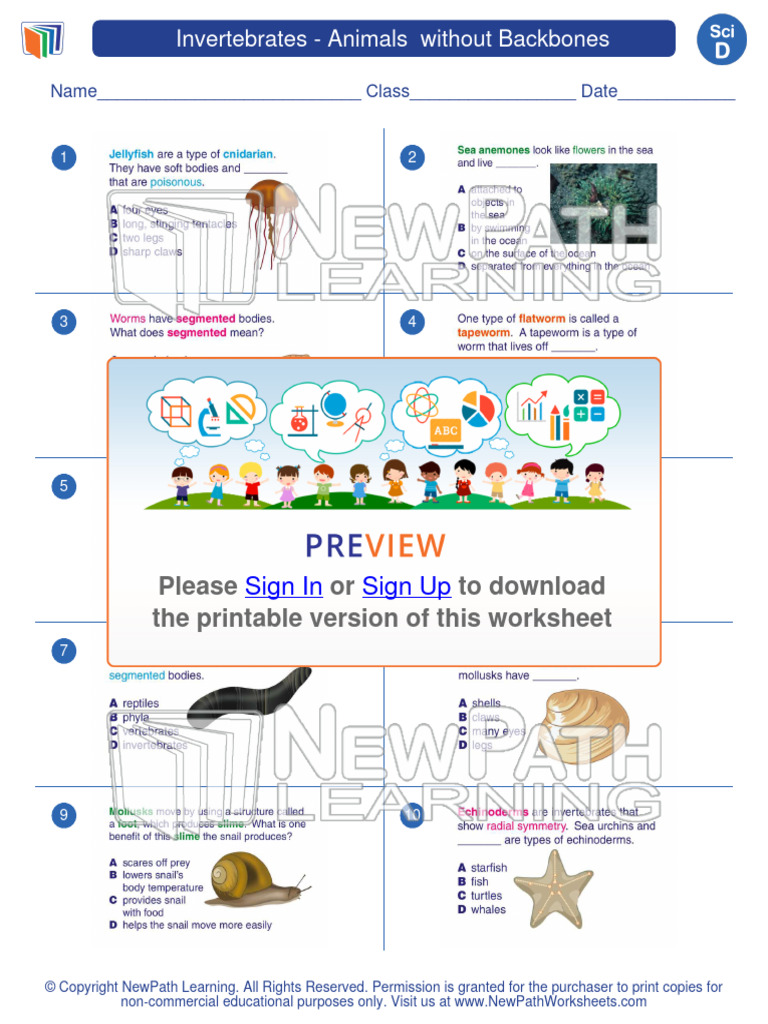 Worksheet Science Grade 4 Invertebrates Animals Without Backbones 1 ...