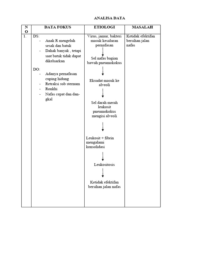 Analisa Data Pdf
