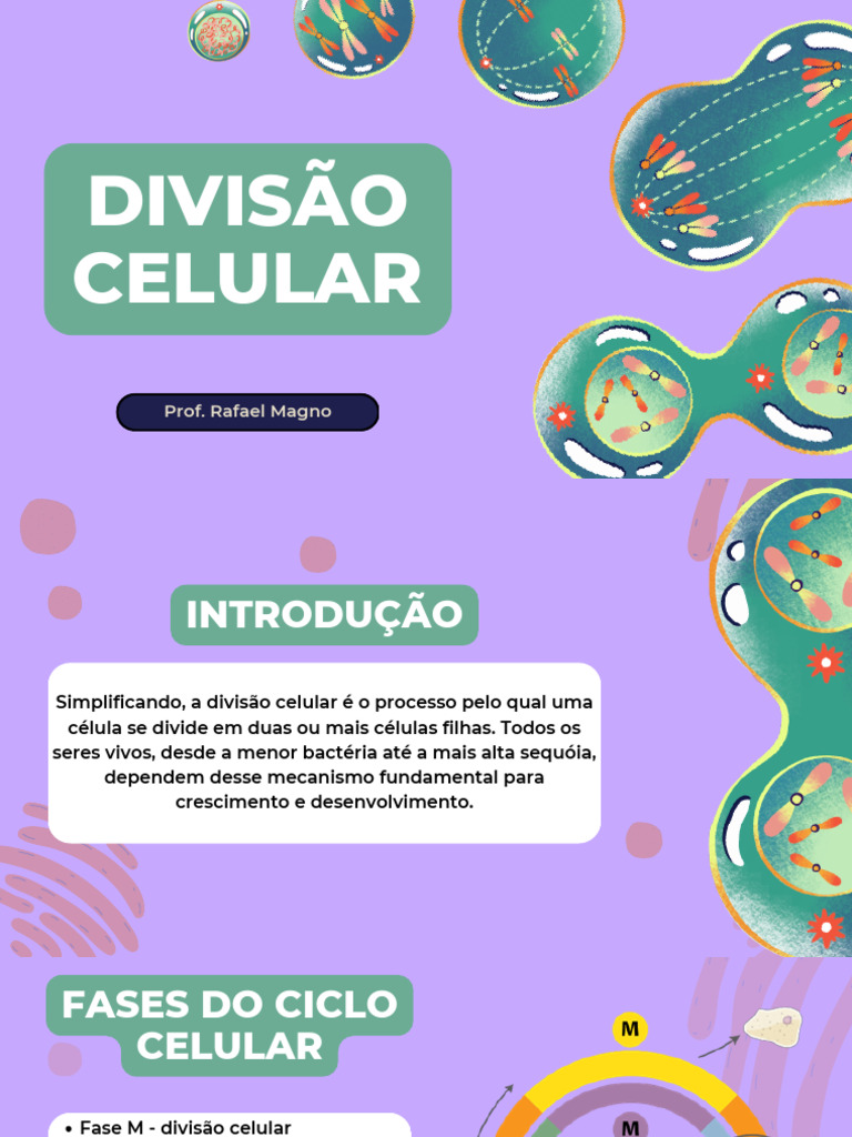 Divisão Celular | PDF | Meiose | Mitose