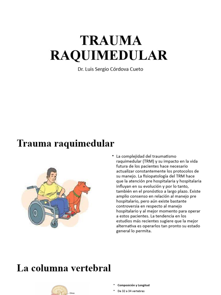 Trauma Medular | PDF | Médula espinal | Vértebra