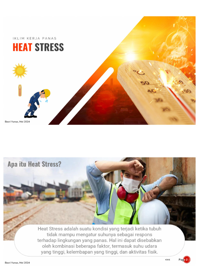 Heat Stress | PDF