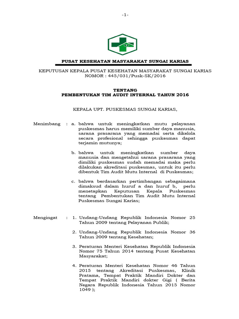 Pembentukan Tim Audit Internal Puskesmas | PDF
