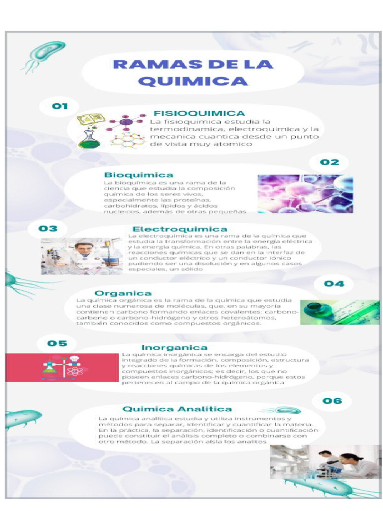 Ramas de La Quimica Word | PDF