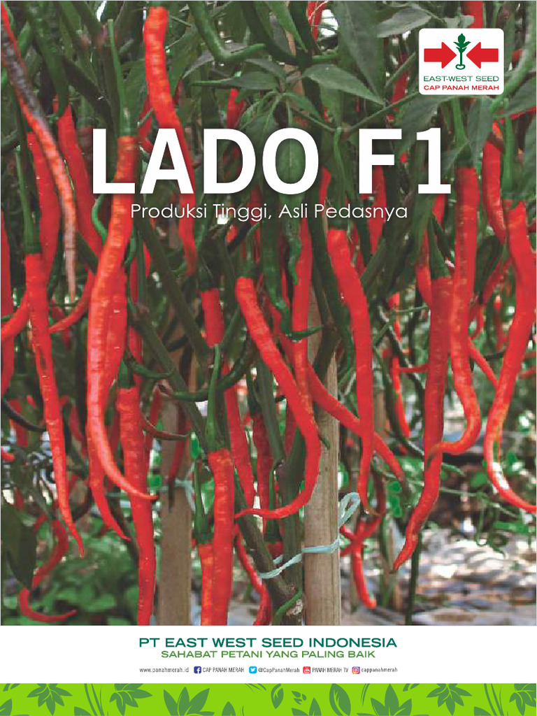 Lado F1 | PDF
