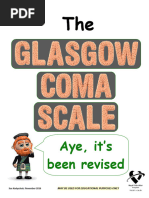 Neurological Observation Chart - GCS - Pupil Size | PDF