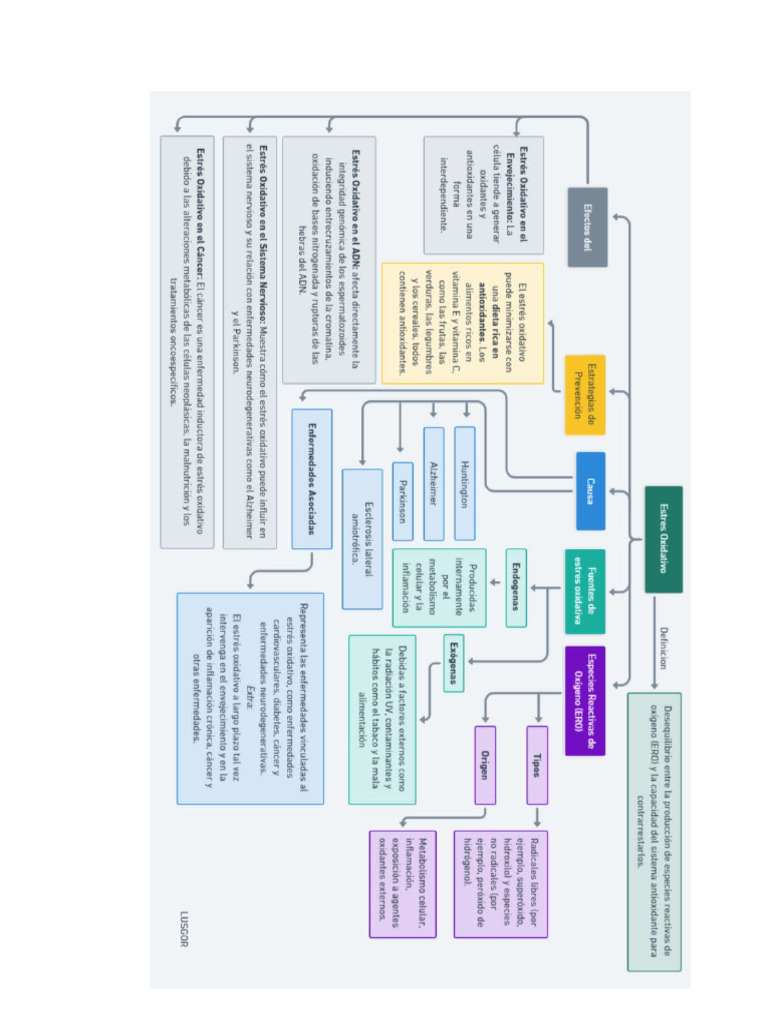 2 Mapas de Estres Oxidativo | PDF