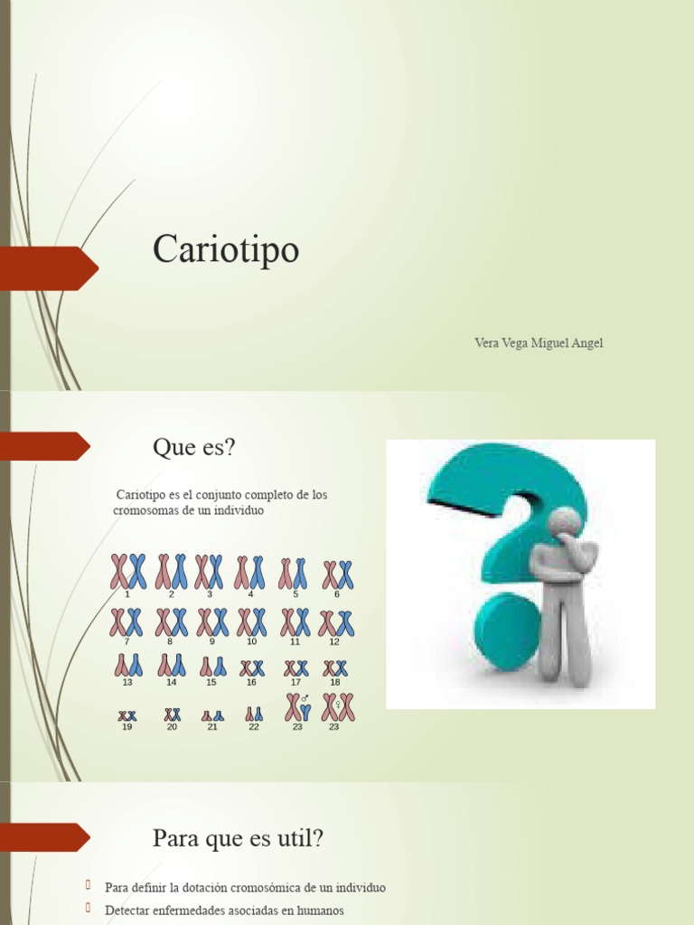 Análisis de Cariotipo y Cromosomas | PDF