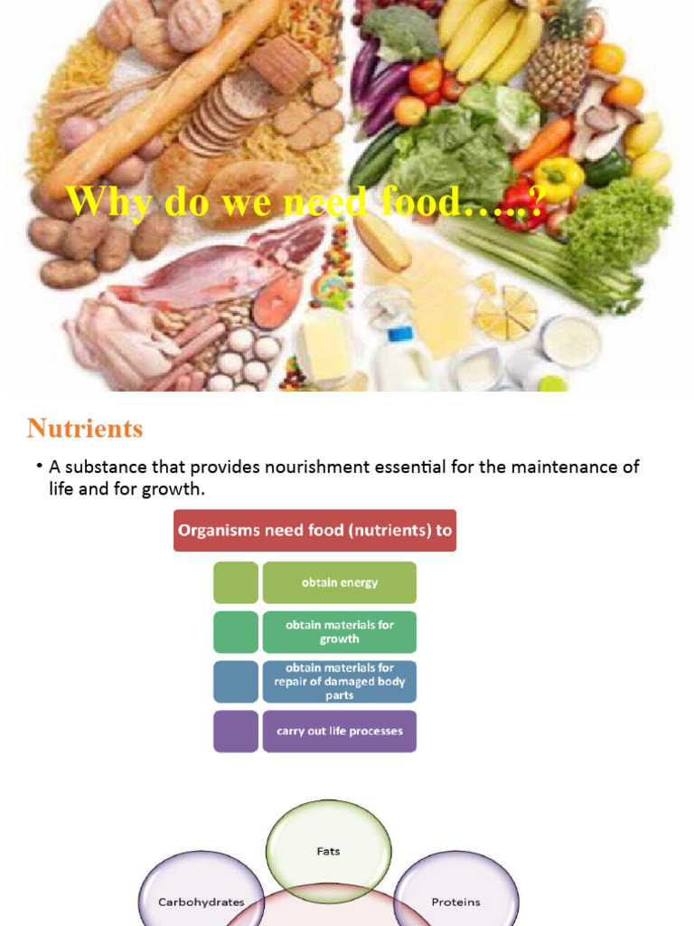 Chapter 1 Nutrition in Plants | PDF | Nutrition | Diet & Nutrition