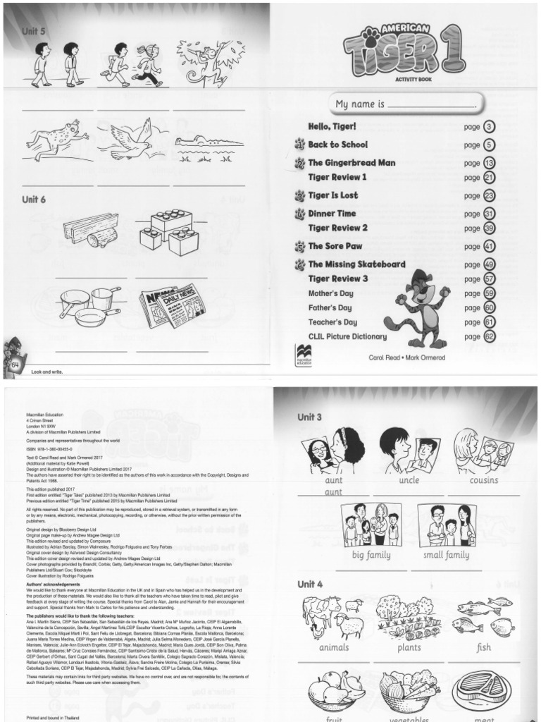 Activity Book | PDF