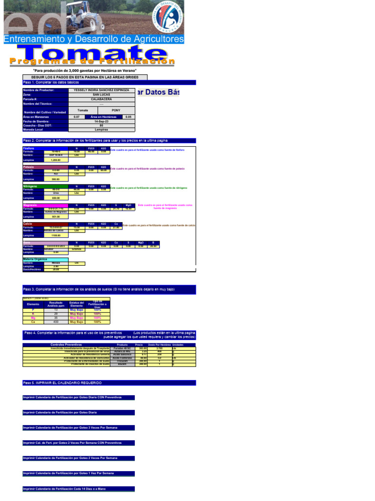 Plan de Fertilizacion en Tomate | PDF | Fertilizante | Nutrición Vegetal