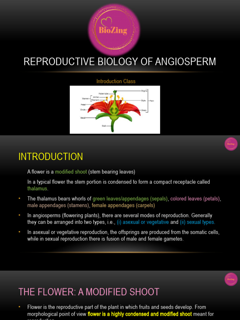Reproductive Biology of Angiosperm | PDF | Flowers | Petal