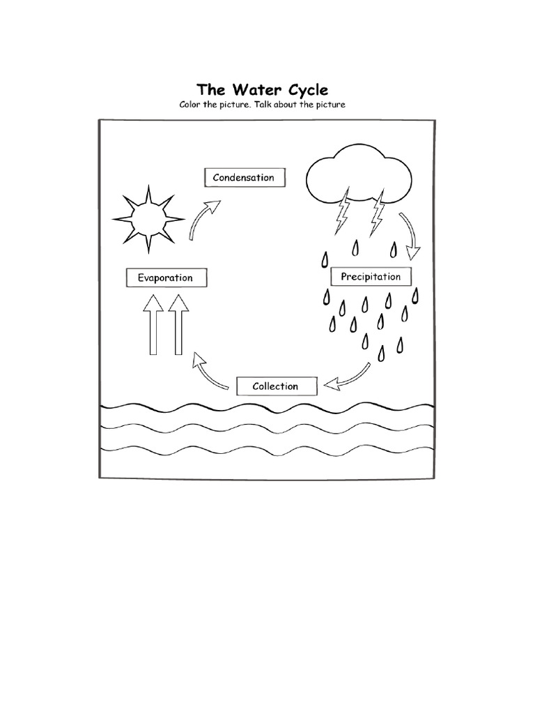 FICHA DE TRABAJO 1 HOMEWORK 4TH A WATER CYCLE | PDF
