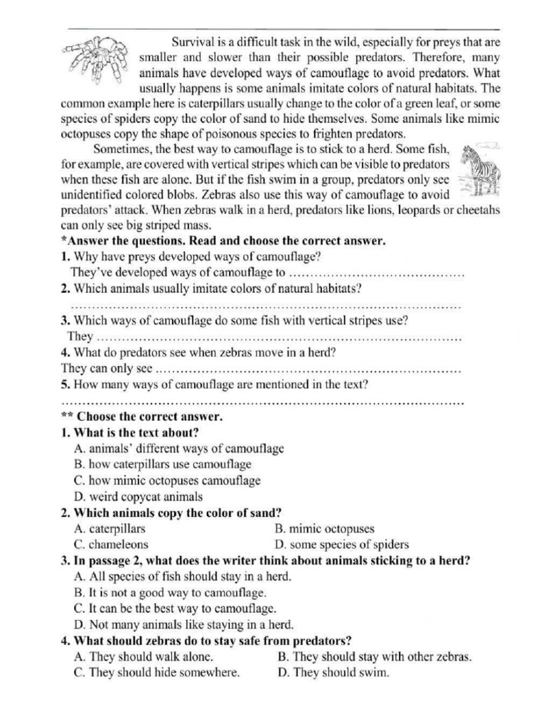 Copycat Animal 1 | PDF