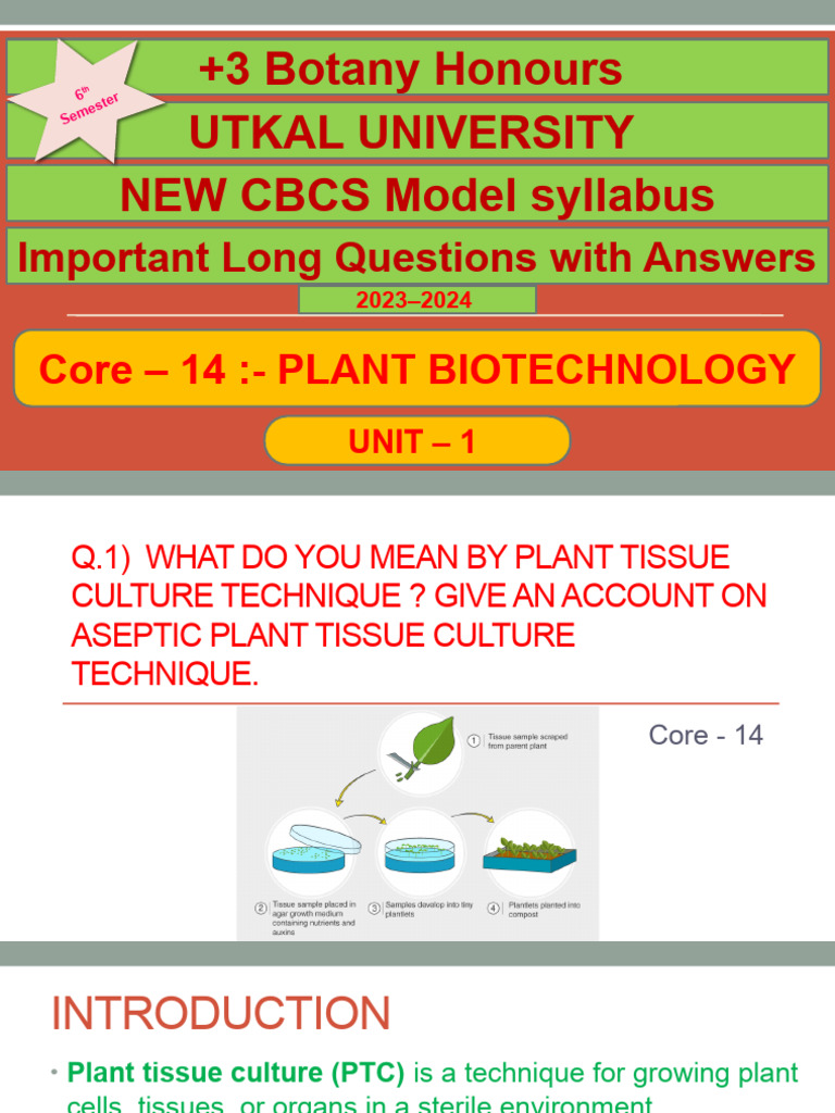 3 Botany Honours | PDF | Embryo | Developmental Biology