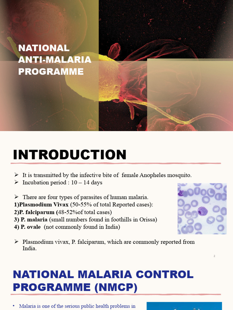 National Anti-Malaria Programme | PDF | Malaria | Epidemiology