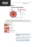 Esquema Proceso Gametogénesis Detallado | PDF | Mitosis | Sistema reproductivo
