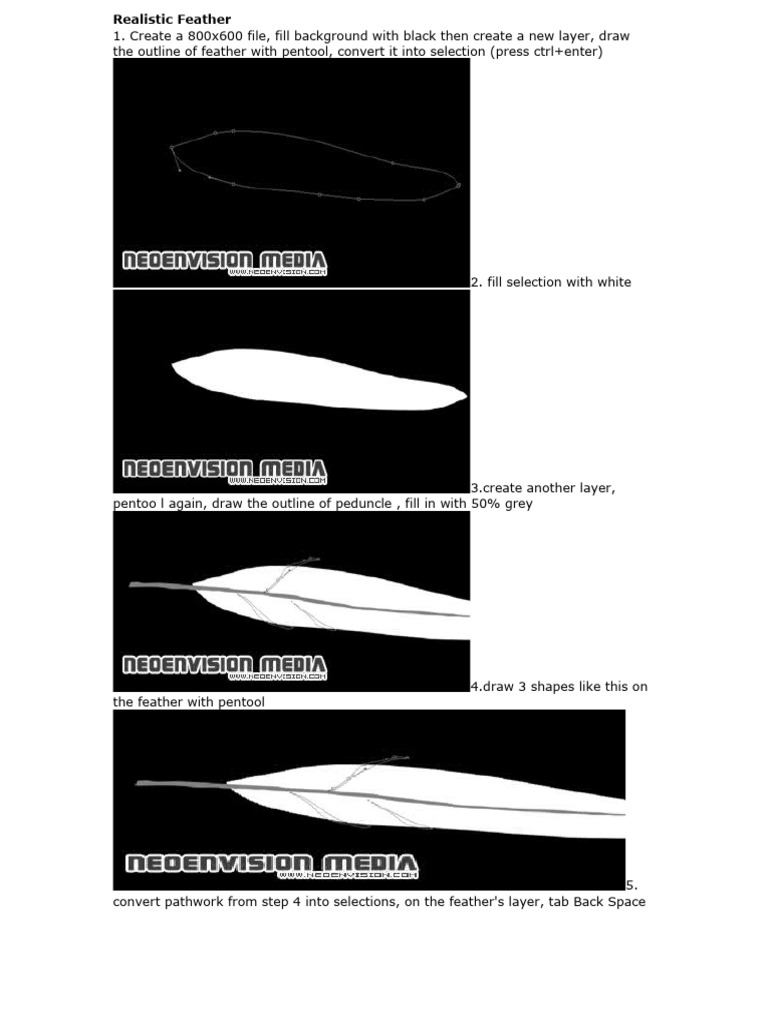 Realistic Feather | PDF