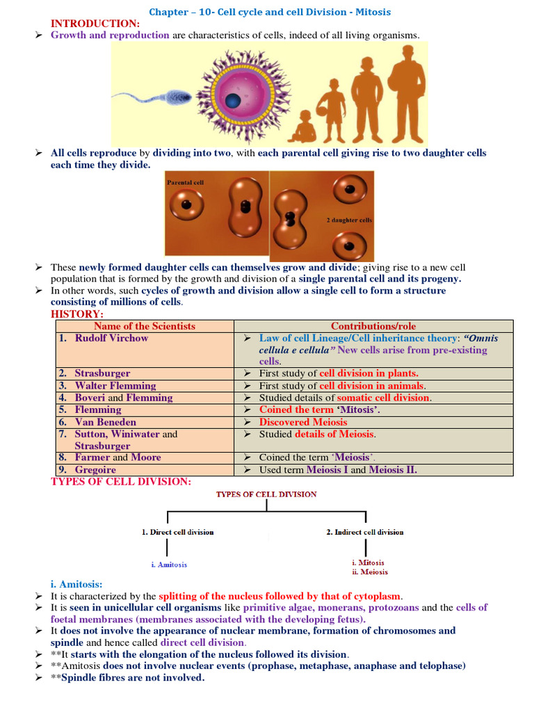 Chapter - 10 Cell Cycle and Cell Division - Mitosis - Sundar - Notes ...