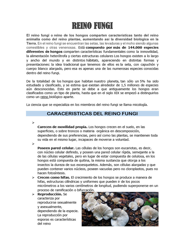 Reino Fungi Exposicion | PDF | Hongo | Espora